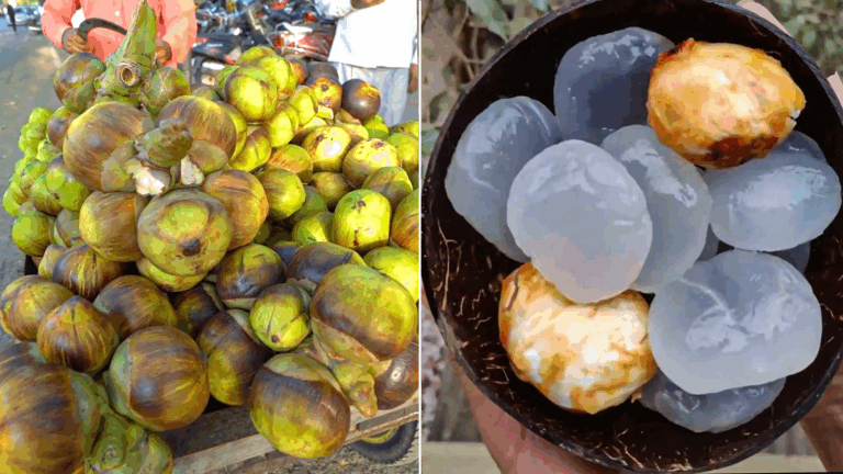 "Ice Apple: Nature’s Secret to Beat the Heat" - India Eat Mania