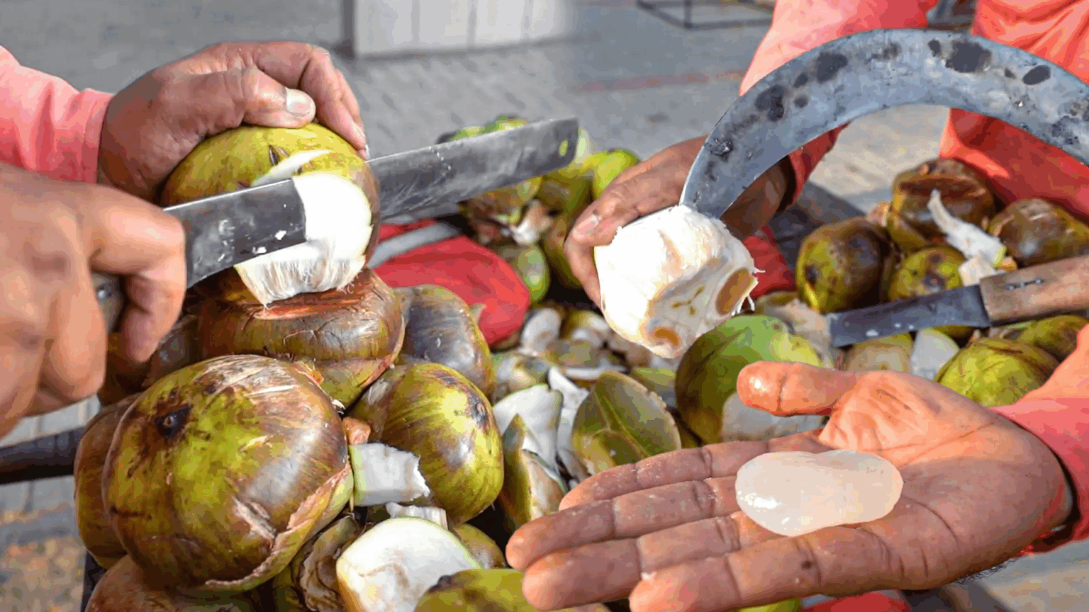 "Ice Apple: Nature’s Secret to Beat the Heat" - India Eat Mania