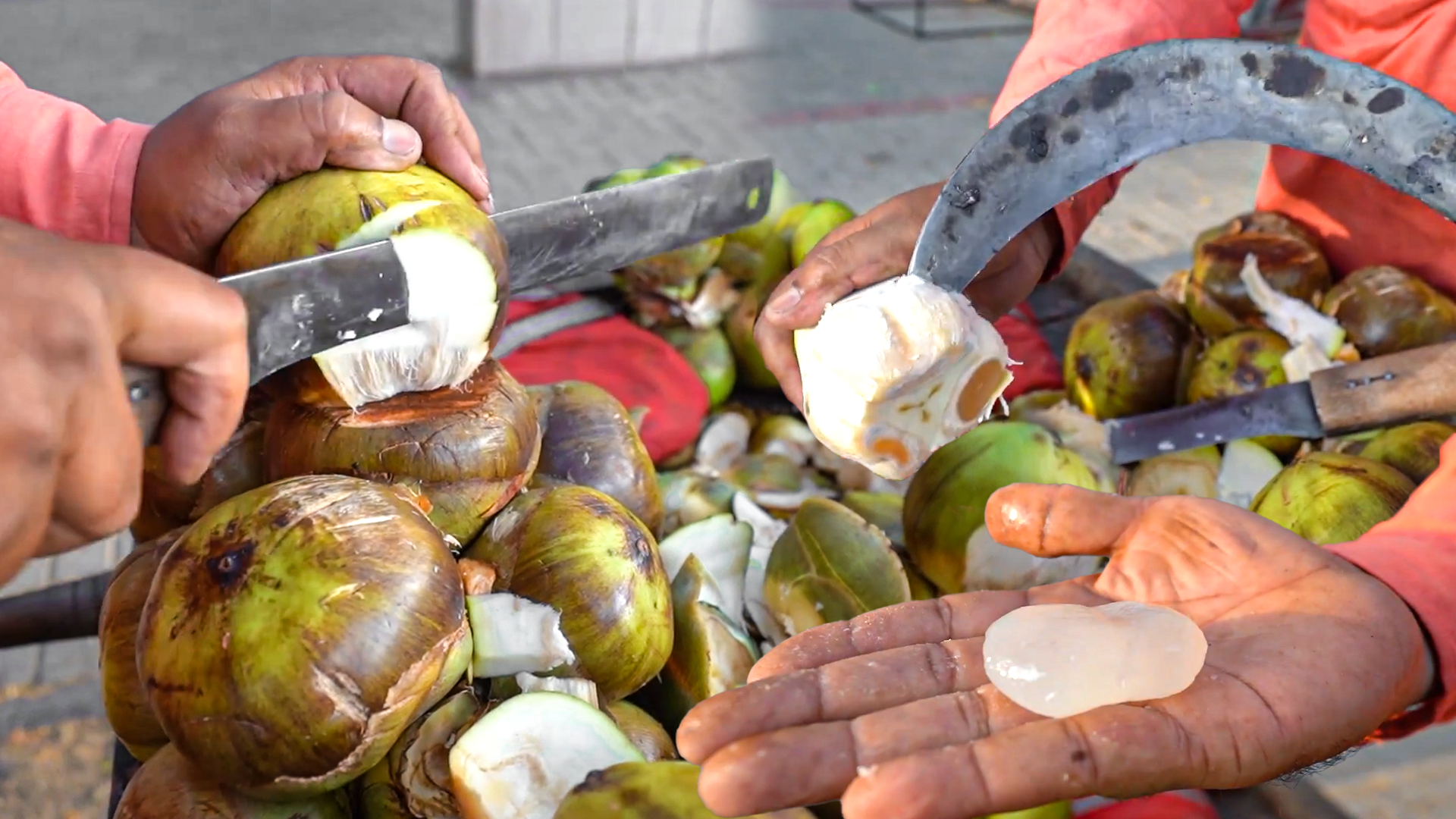 "Ice Apple: Nature’s Secret to Beat the Heat" - India Eat Mania