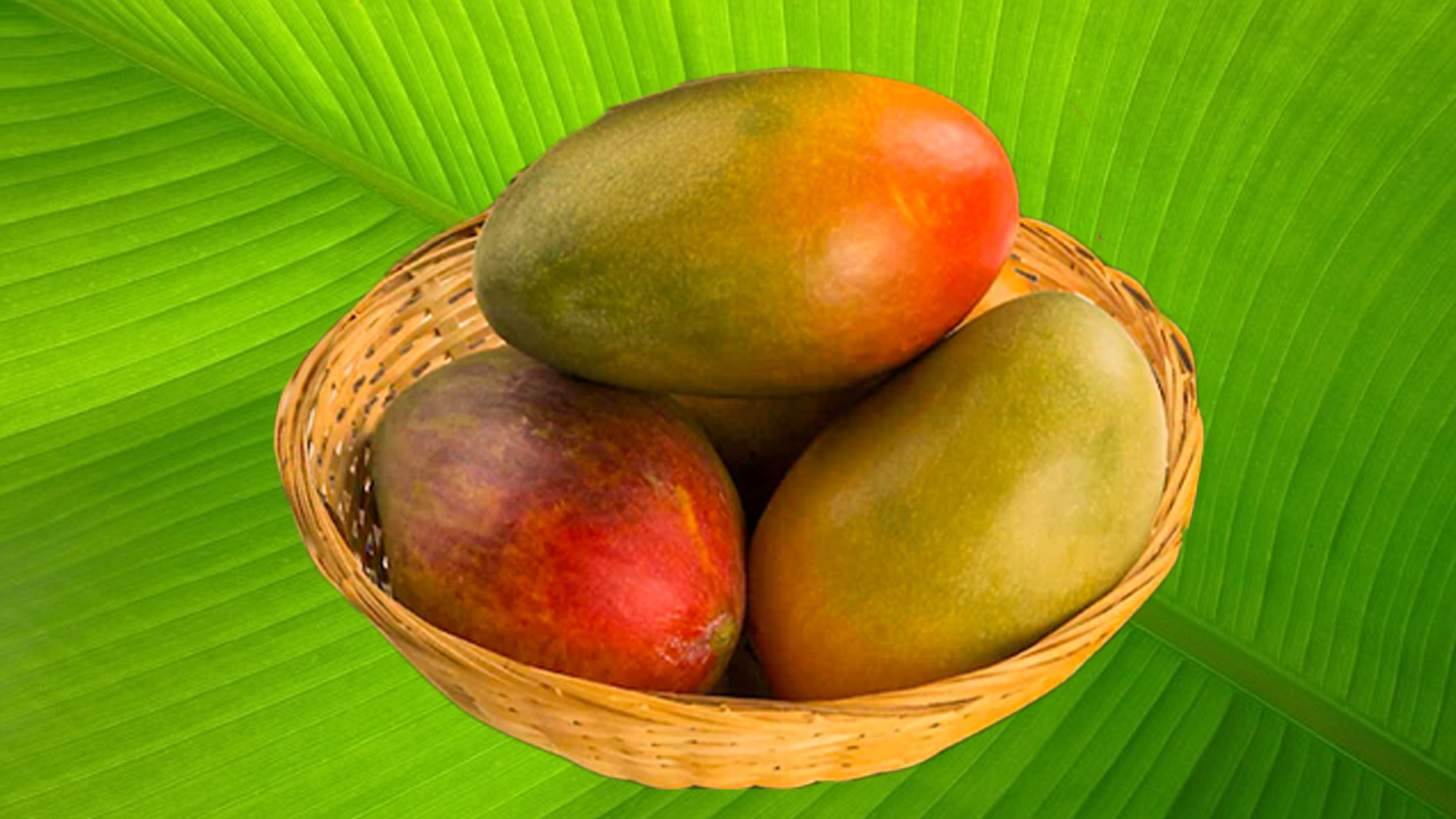 Why These 5 Mango Varieties Are the Most Expensive in India - India Eat ...