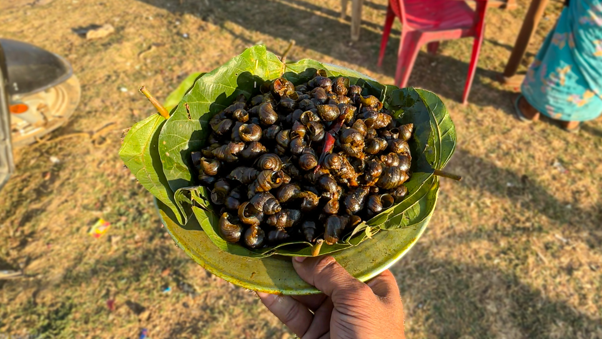More Than Just Snails: Ghonghi and the Taste of Tradition. - India Eat ...