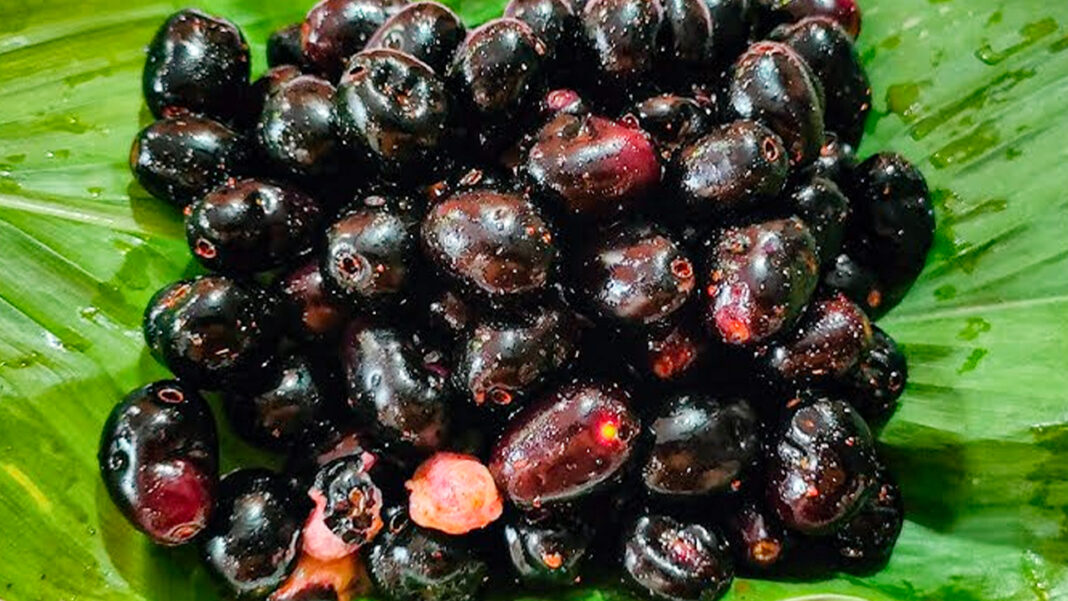 Top Health Benefits of Jamun and Delicious Ways to Eat It - India Eat Mania
